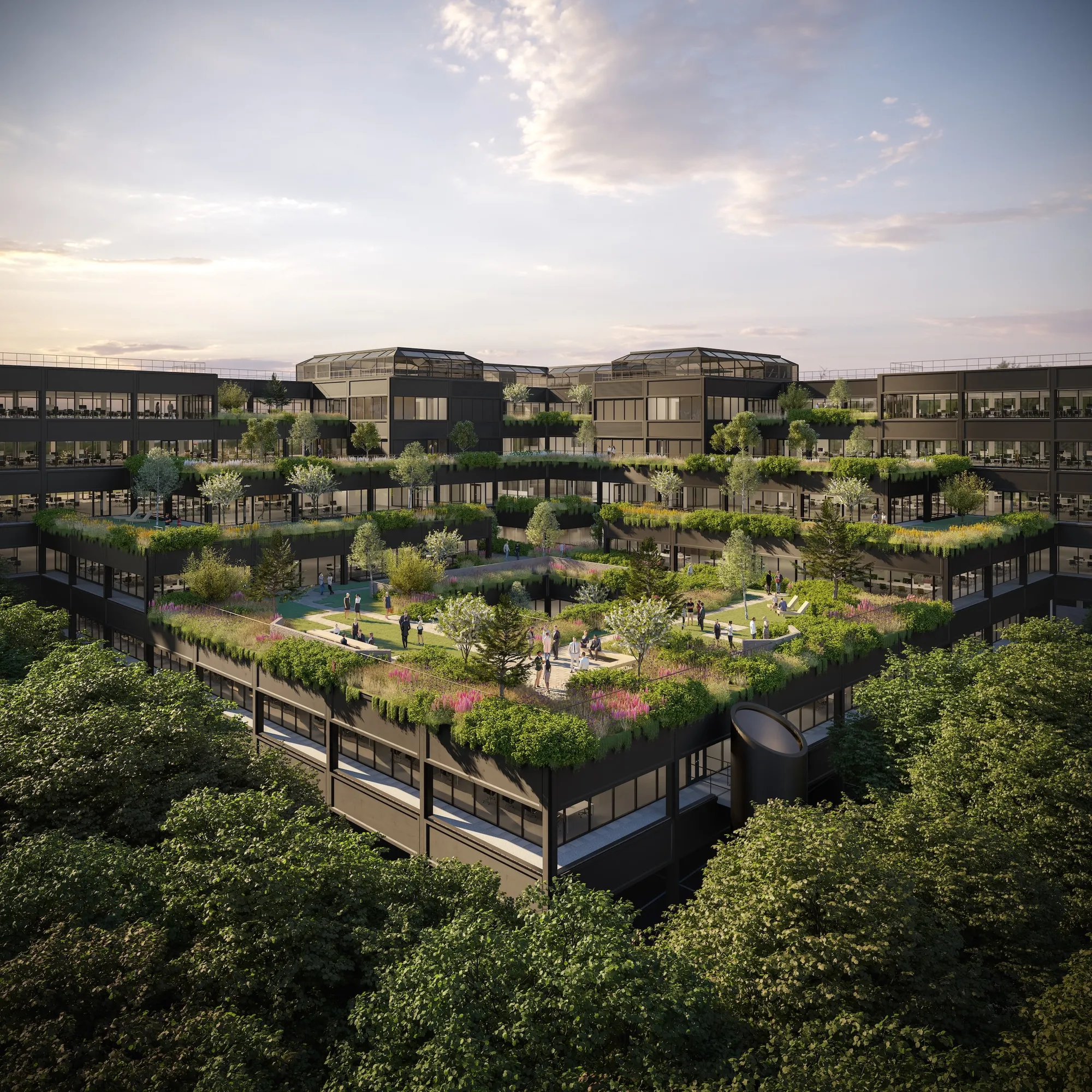 Mountbatten House - Circle